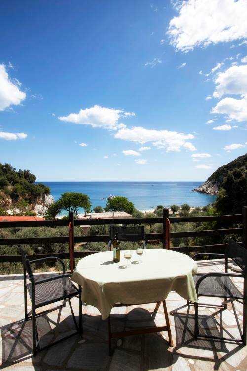 ΞΕΝΩΝΑΣ | ΠΑΛΙΑ ΝΤΑΜΟΥΧΑΡΗ | ΠΗΛΙΟ ΜΑΓΝΗΣΙΑ - Greekcatalog.net