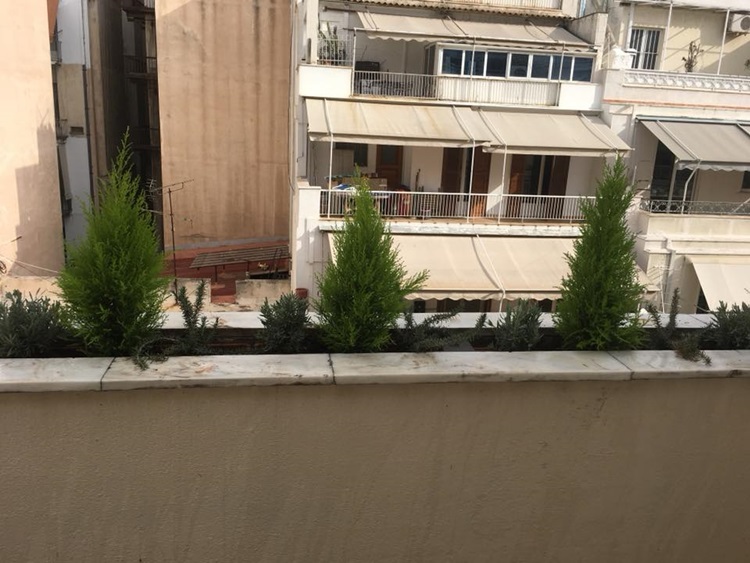 ΚΑΤΑΣΚΕΥΗ ΚΑΙ ΣΥΝΤΗΡΗΣΗ ΚΗΠΩΝ ΜΑΡΟΥΣΙ | GN GARDEN - Greekcatalog.net