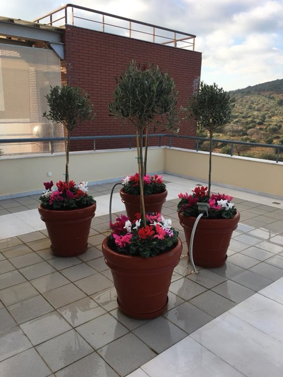 ΚΑΤΑΣΚΕΥΗ ΚΑΙ ΣΥΝΤΗΡΗΣΗ ΚΗΠΩΝ ΜΑΡΟΥΣΙ | GN GARDEN - Greekcatalog.net