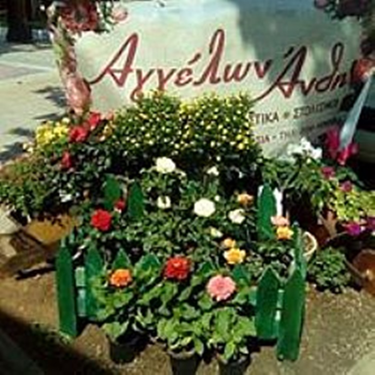 ΑΝΘΟΠΩΛΕΙΟ ΑΝΩ ΛΙΟΣΙΑ | ΑΓΓΕΛΩΝ ΑΝΘΗ - Greekcatalog.net