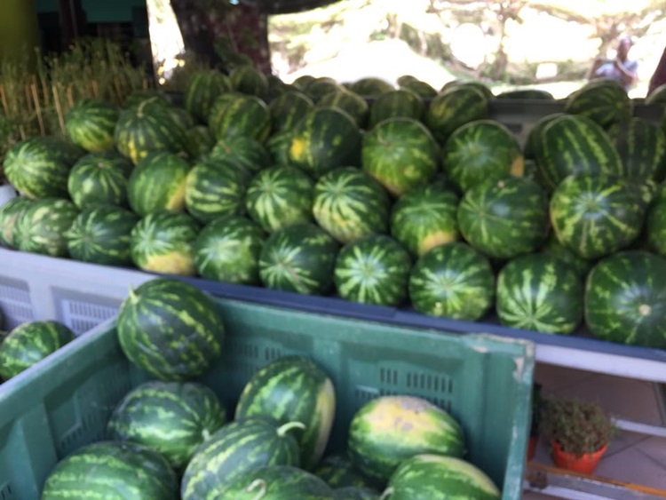 ΠΑΝΤΟΠΩΛΕΙΟ ΟΠΩΡΟΠΩΛΕΙΟ MINI MARKET ΔΡΑΠΕΤΣΩΝΑ ΠΕΙΡΑΙΑΣ | ΑΠΕΡΓΗΣ ...