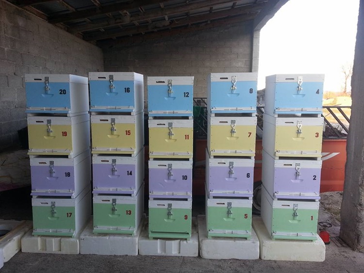 ΜΕΛΙΣΣΟΚΟΜΙΚΑ ΠΡΟΪΟΝΤΑ ΔΕΣΚΑΤΗ ΓΡΕΒΕΝΑ | HONEY ΔΟΒΑΣ - Greekcatalog.net