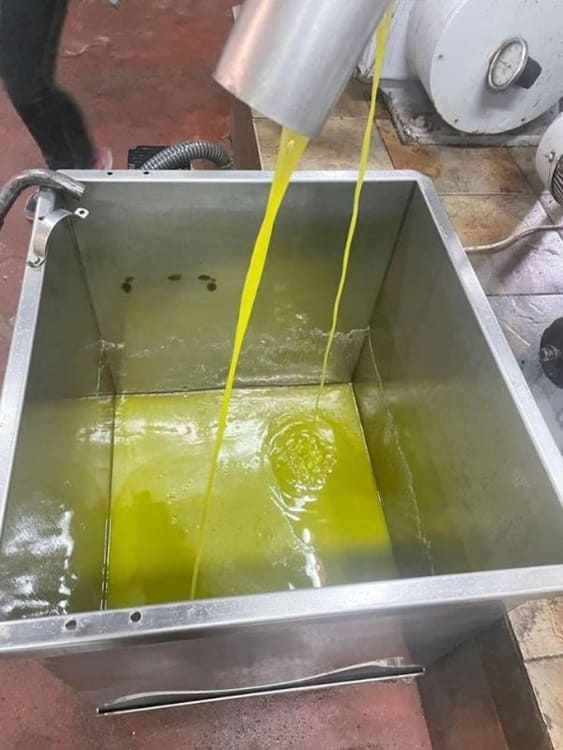 ΕΛΑΙΟΤΡΙΒΕΙΟ ΒΑΣΙΛΙΚΟ ΧΑΛΚΙΔΑ ΕΥΒΟΙΑΣ | ΚΟΝΤΟΥ - Greekcatalog.net