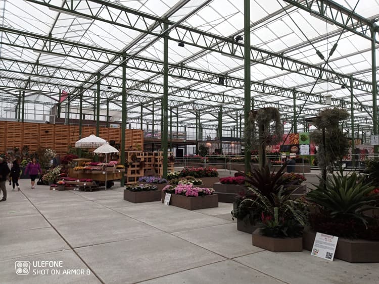 ΚΑΤΑΣΚΕΥΗ ΣΥΝΤΗΡΗΣΗ ΚΗΠΩΝ ΡΕΘΥΜΝΟ | GARDEN M.A. ΑΝΤΟΥΡΑΚΗΣ ΜΑΡΚΟΣ ...