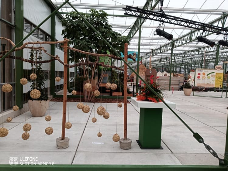 ΚΑΤΑΣΚΕΥΗ ΣΥΝΤΗΡΗΣΗ ΚΗΠΩΝ ΡΕΘΥΜΝΟ | GARDEN M.A. ΑΝΤΟΥΡΑΚΗΣ ΜΑΡΚΟΣ ...