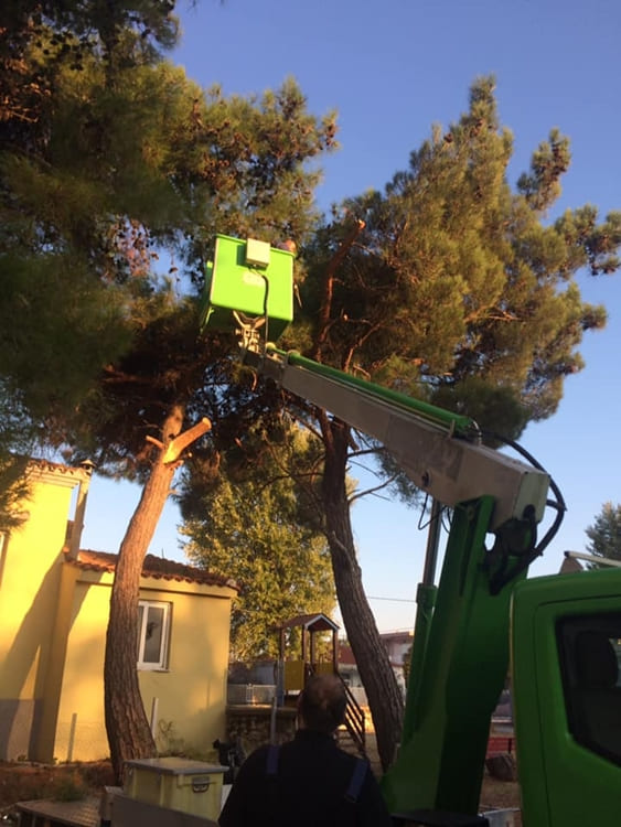 ΚΑΤΑΣΚΕΥΗ ΣΥΝΤΗΡΗΣΗ ΚΗΠΩΝ ΚΟΠΗ ΚΛΑΔΕΜΑ ΥΨΗΛΩΝ ΔΕΝΤΡΩΝ ΚΟΜΟΤΗΝΗ ...