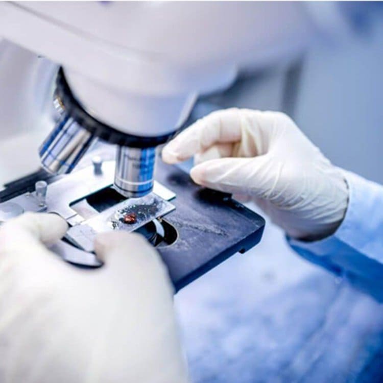 ΜΙΚΡΟΒΙΟΛΟΓΙΚΟ ΕΡΓΑΣΤΗΡΙΟ ΝΑΥΠΛΙΟ | ΚΑΛΑΝΤΖΗ ΓΙΑΝΝΟΠΟΥΛΟΥ ΠΑΝΑΓΙΩΤΑ ...