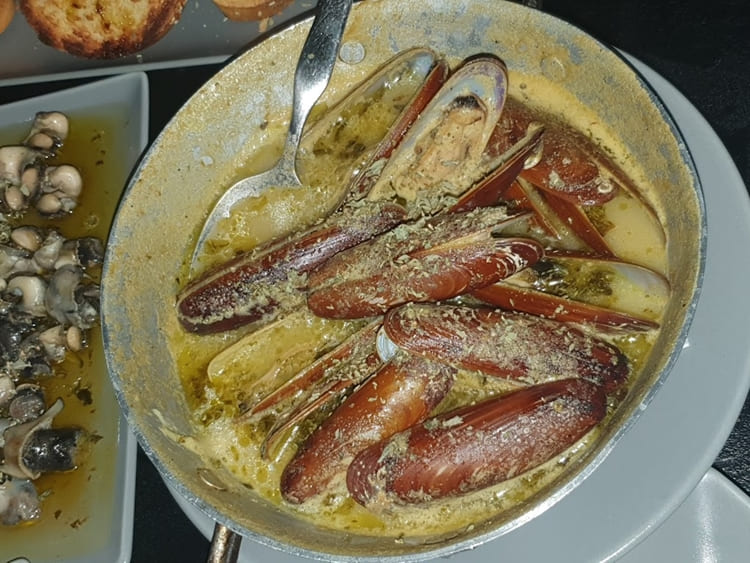 ΚΑΦΕ ΜΕΖΕΔΟΠΩΛΕΙΟ ΝΕΑ ΑΡΤΑΚΗ | SAGA CAFE - Greekcatalog.net