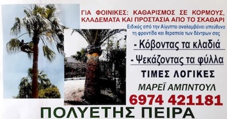 ΚΑΘΑΡΙΣΜΟΙ ΦΟΙΝΙΚΩΝ ΧΑΝΙΑ ΚΡΗΤΗ | ΑΜΠΝΤΟΥΛ ΜΑΡΙ - Greekcatalog.net