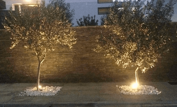 ΚΑΤΑΣΚΕΥΗ ΚΑΙ ΣΥΝΤΗΡΗΣΗ ΚΗΠΩΝ ΠΕΤΡΟΥΠΟΛΗ | GARDEN LAB - Greekcatalog.net